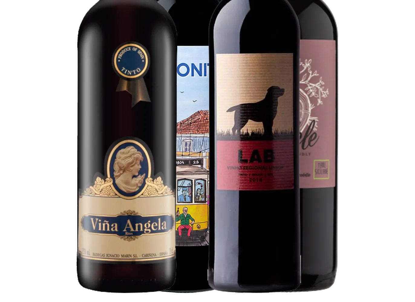 Silky Smooth European Gold Medal Collection (01) – Black Market